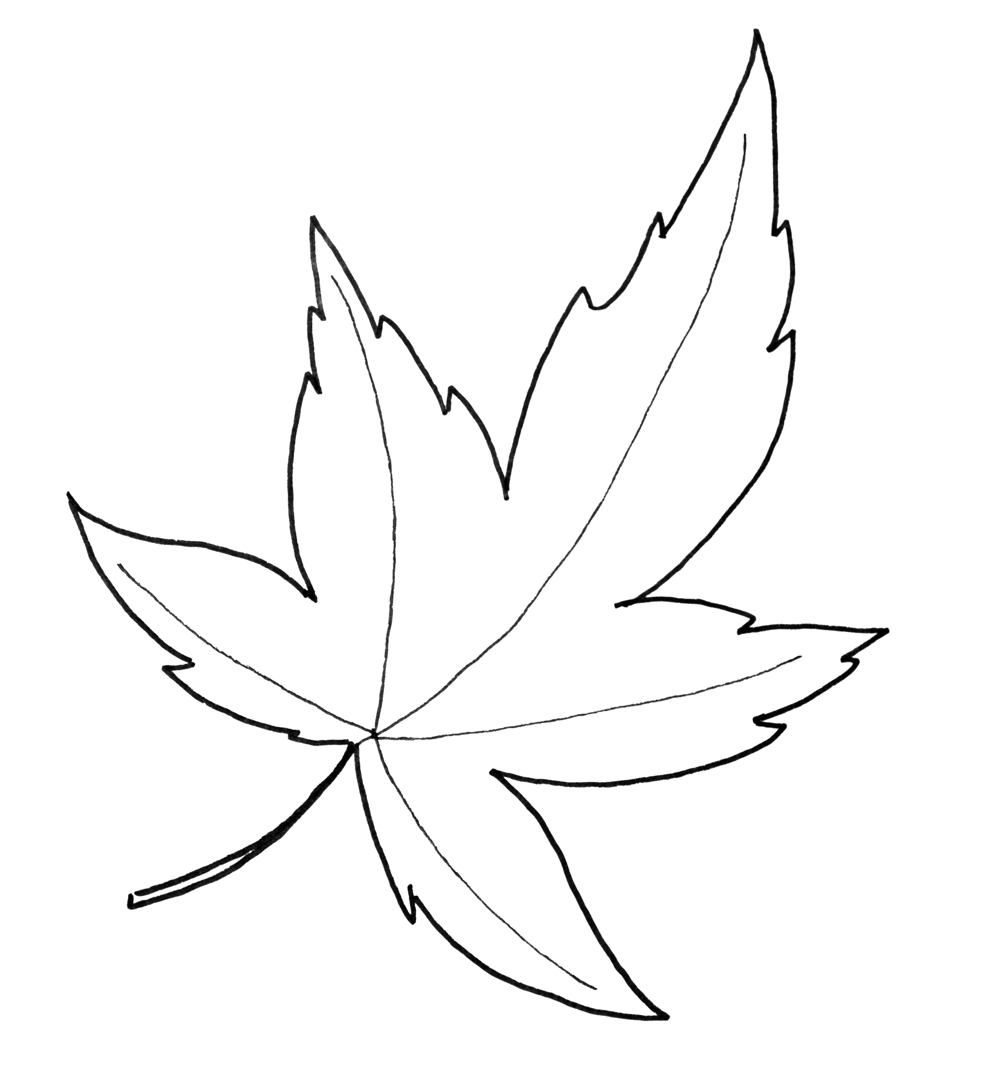 Printable Maple Leaf Pattern Printable World Holiday